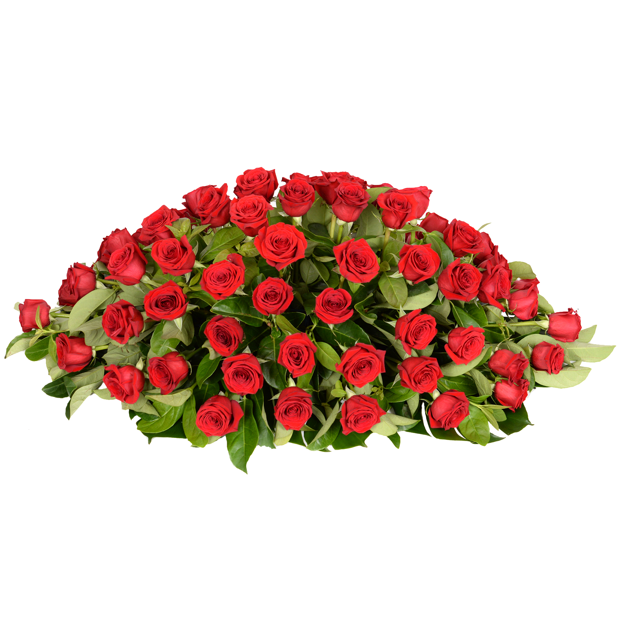 Timeless Red Standard - Roses Only Featured Products delivered to ...